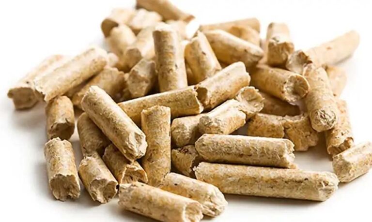 Lubricants for Animal Feed Industry | BECHEM